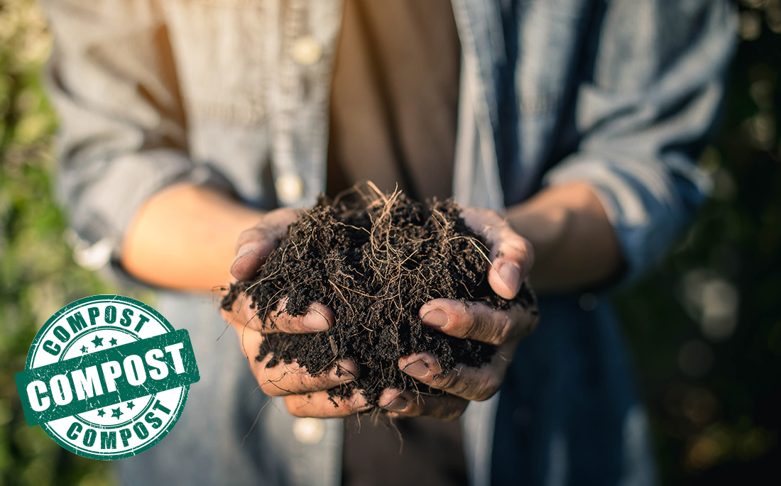 Compostable Packaging | An Eco-Friendly Alternative | Vexel